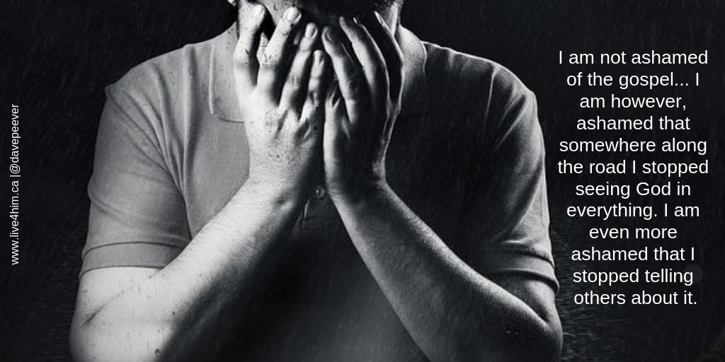 I Am Ashamed of the Way I Am Not Ashamed | live4him.ca